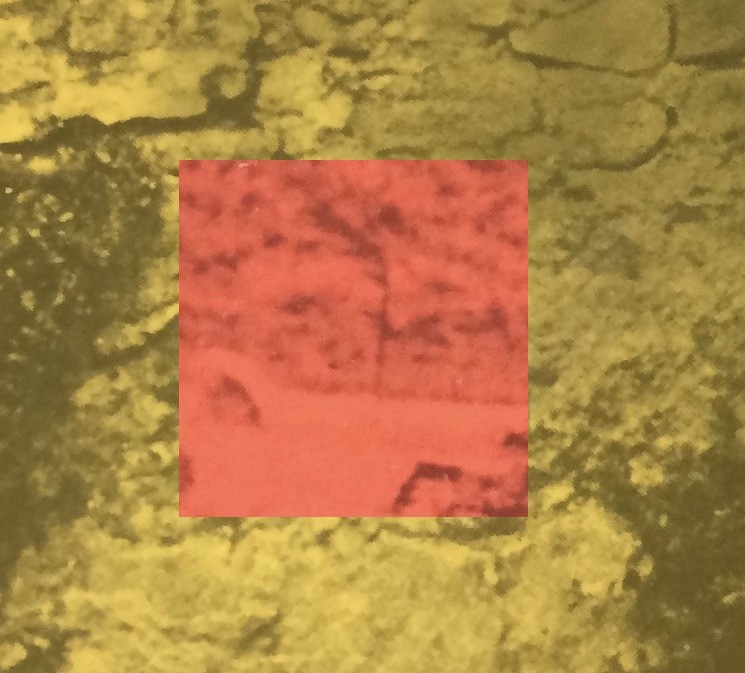 Catrin Saran James – Website of artist Catrin Saran James